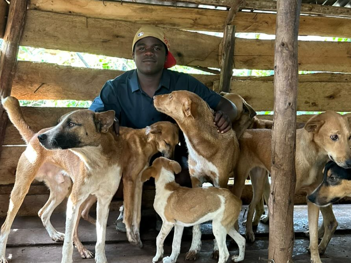 Fundraiser by Ben Mccabe : Every Paw Counts:Help Eric Save Uganda’s ...