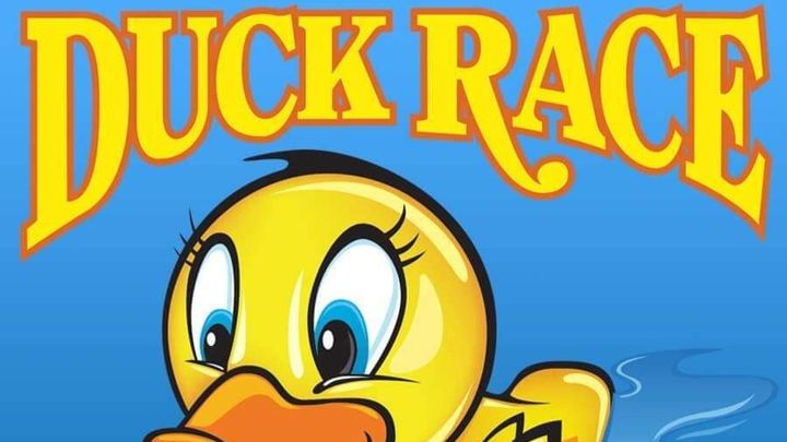 Inzamelingsactie van Bev Harriman-Dyer : CUDDLEPAWS FUNDRAISER DUCK ...