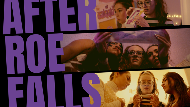 Fundraiser for Jessica Orcsik by Harriette St Ledger : After Roe Falls ...