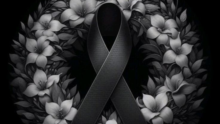 Fundraiser by Janeth Nunez : Supporting Our Friend Araceli During an ...