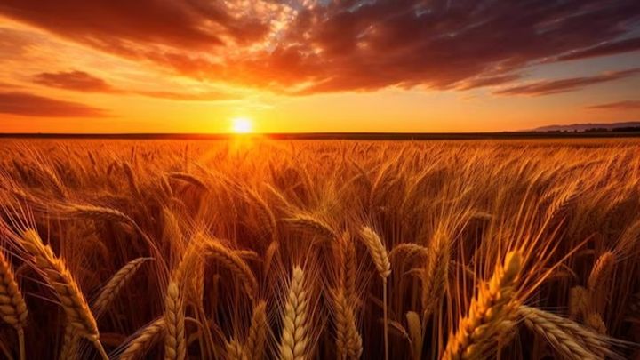 Fundraiser for Marisa Wing by Carol Batchelder : Support for the Wing ...