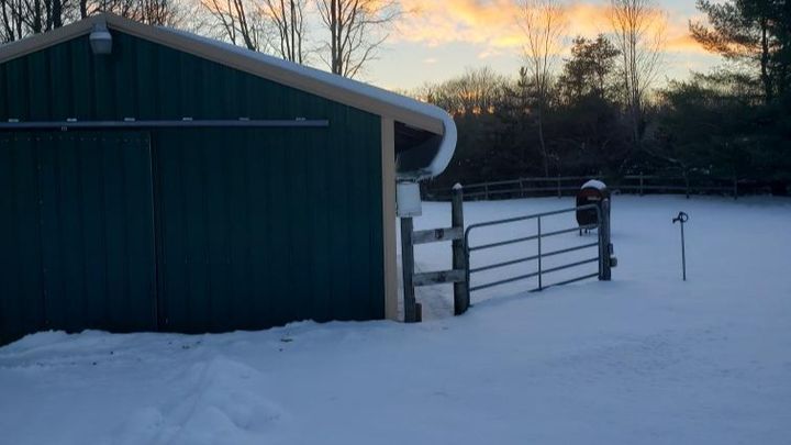 Fundraiser by Tynisa Walker : Save Carl's Home & Animal Sanctuary