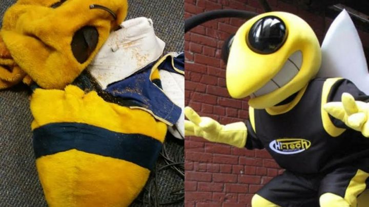 Fundraiser by Kyle Shaver : Bringing Back Buzz - TCCHS Mascot