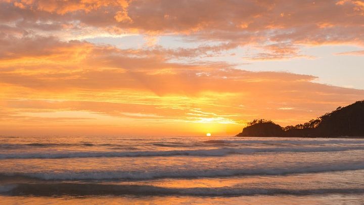 Fundraiser for Harry Edwards by Andrew Inomata : In support of Harry ...