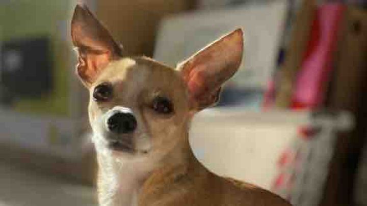 Fundraiser by Hailey Allen : Jacobs medical bills