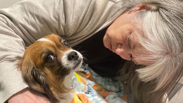 Fundraiser for Cathy Poulin by Alicia Belsky : Oscar’s Emergency Surgery