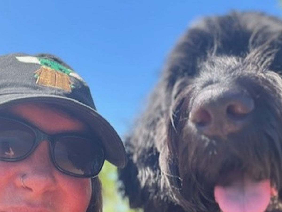 Fundraiser by Angie Davidson : Support Trisha and River's Medical Journey