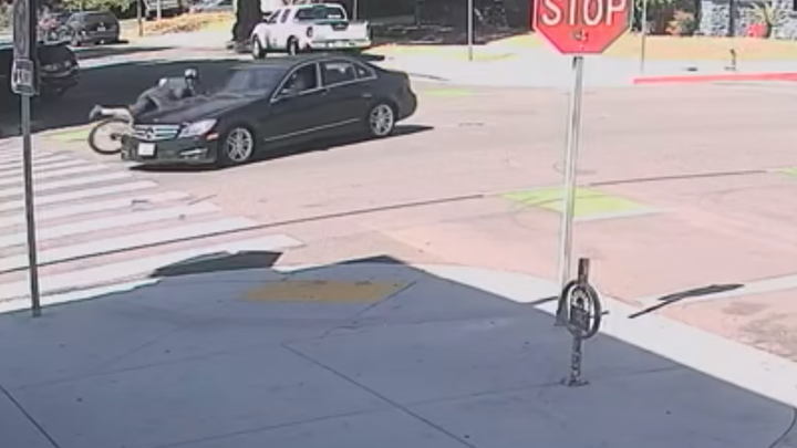 Fundraiser for Susanne Favella by Kevin Spangler : Help! Local dog ...