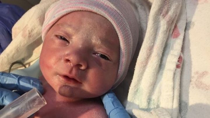 Fundraiser for Cody Edwards by Rod Arnold : Finley Needs Your Help!