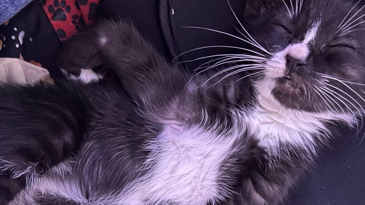 Fundraiser by Justice Long : Maze's Arm Amputation & Recovery