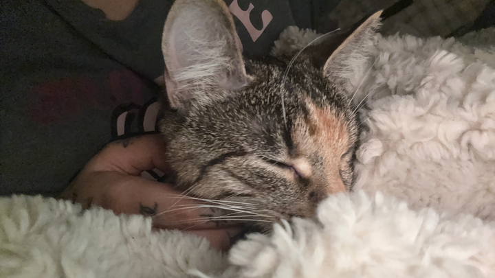 Fundraiser for Emili Harris by Maria AG : Help Ruby get lifesaving surgery