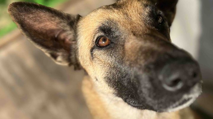 Fundraiser by Jayné Valverde : Hazel ER medical bill