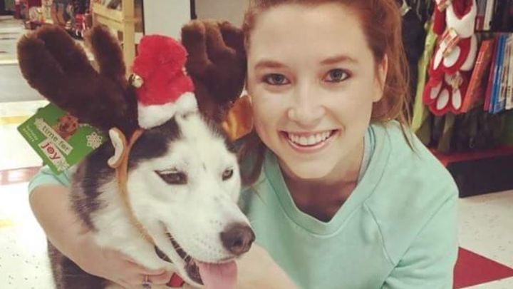 Fundraiser for Danielle Roosa by Katy Doyle Likovich : Help Danielle (our fav sick gingr)!