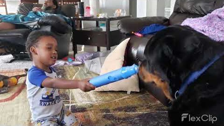 Fundraiser by Kimberly Goodwin : Help Pay Isis's Final Medical and ...