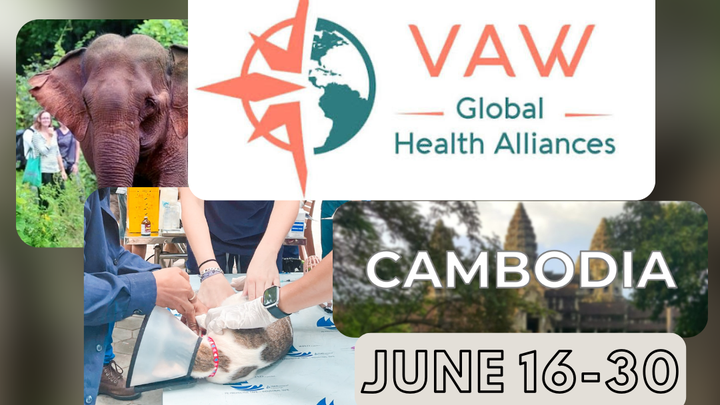 Fundraiser by Emily Gaylor : Support Our Vet Intern Team's Journey to ...