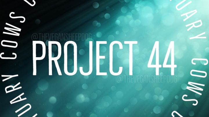 Fundraiser by Chris Peed : Project 44 - Cows Come Home Sanctuary