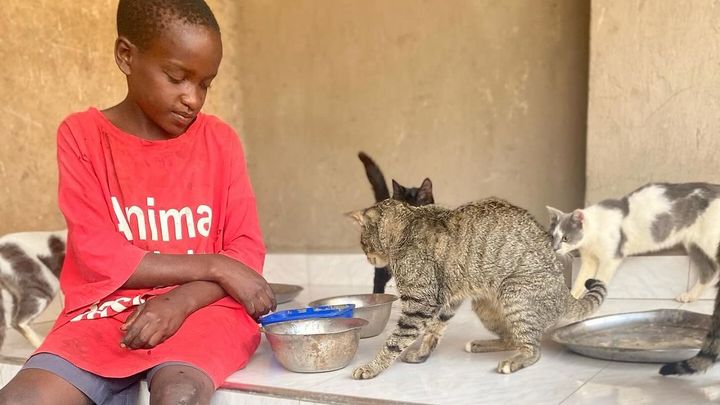 Fundraiser by Angel Peeters-Bauluck : Save the stray animals