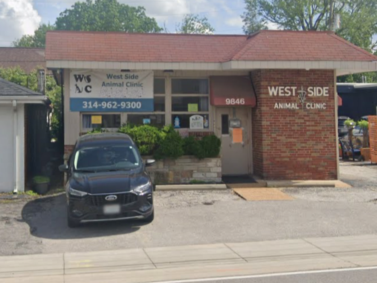 Fundraiser for Debra Johnson by Jessica McNamara : Help Keep Westside ...