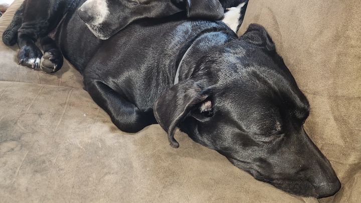 Fundraiser by Madison Shell : Rheya's medical bills