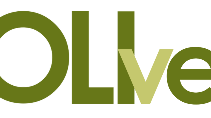 Fundraiser by Ian Cook : Help OLIve Budapest Pay Rent