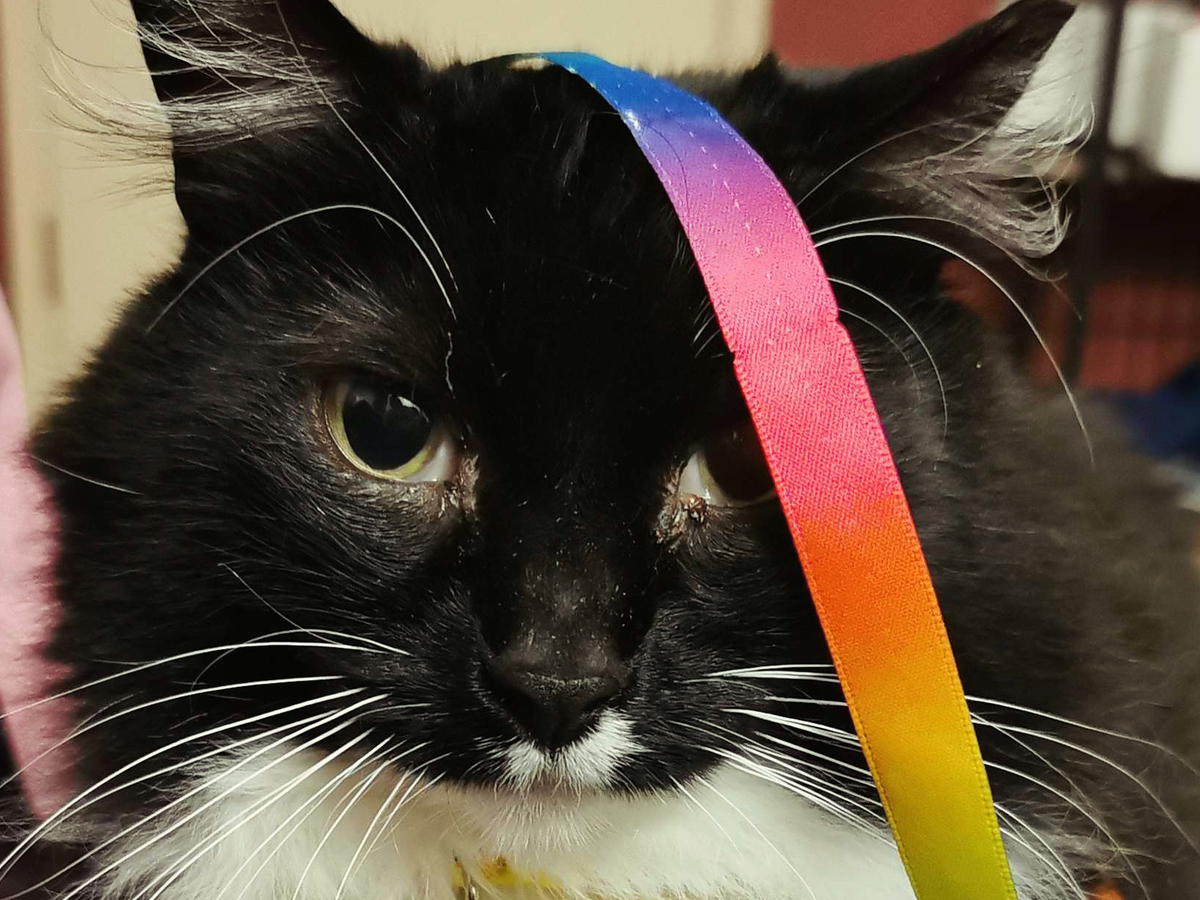 Fundraiser for Roger Larocque by Harley S : To Moro - Need funds for life saving surgery