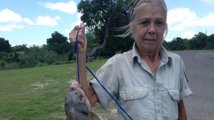 Fundraiser by Robbie Merritt : Help Sunshine get back