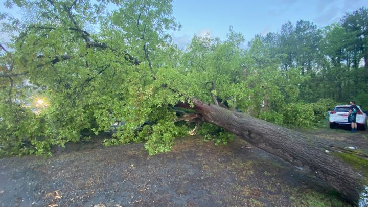 Fundraiser for Pamela Hartsell by Heather Fry : Tree fell on my friends ...
