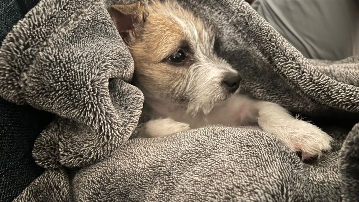 Fundraiser for Anthony Bonacci by Brooke McGuire : Help Mae receive her ...