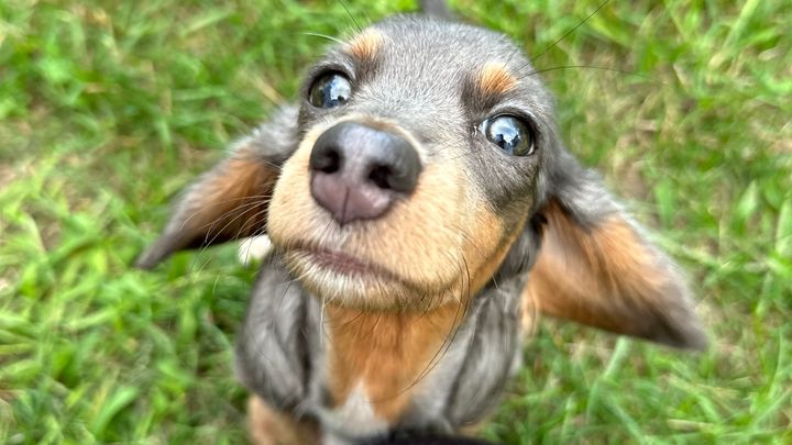 Fundraiser for Kyndra Swan by Courtney Coetzee : Help Ellie get the ...