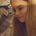 Fundraiser by Lauren Bruen : My Chinchilla: Luke!