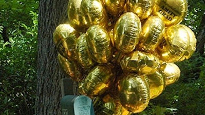 Fundraiser by Melissa Federico : Operation Amity Senior Balloons