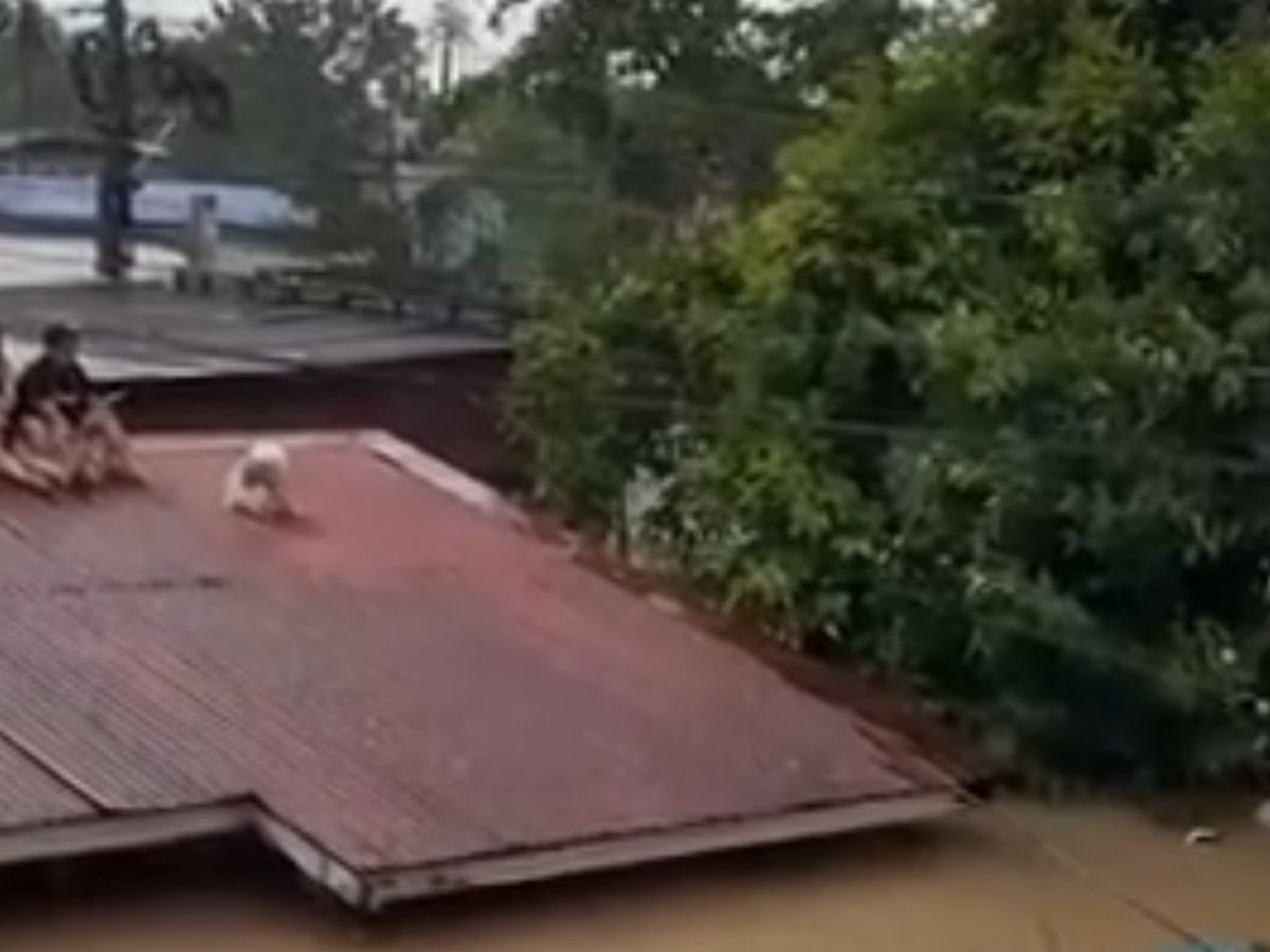 Fundraiser by Cedarra Hammond : Help CotCot Liloan Cebu Families ...