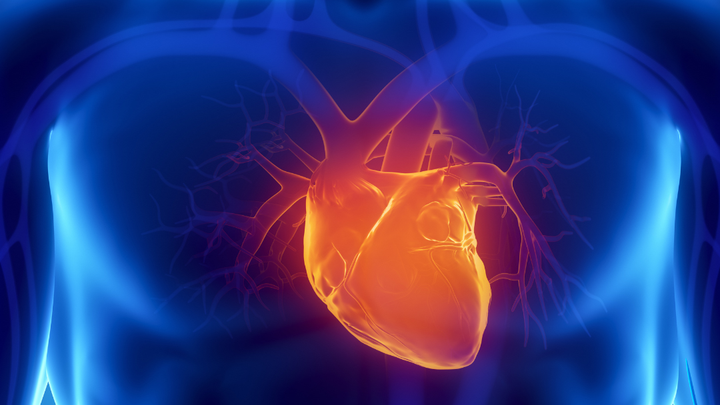 Fundraiser for Brad DeSwarte by Lynn Wickersham : A New Heart for Mary ...