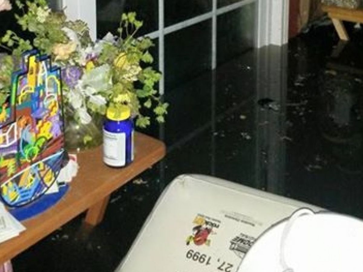 Fundraiser by Barbara Bram Davis Levine : Barbara & Steve Levine Flood Fund