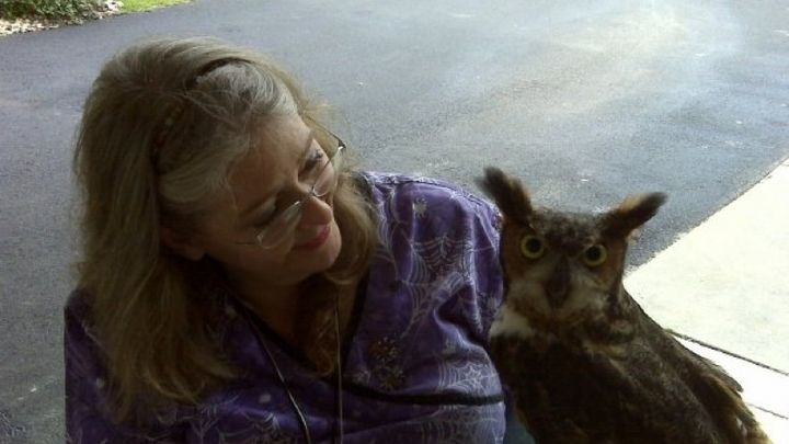 Fundraiser by Dianna Sue Bryant : Florida Wildlife Rehabilitation