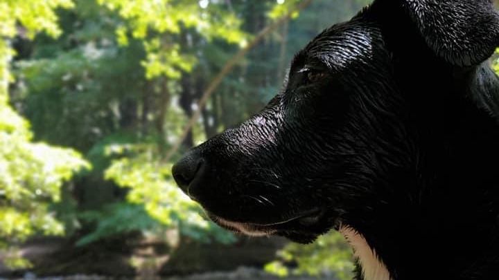 Fundraiser for Ryan Wiltse by Brandy Wiltse : Medical Support for Max