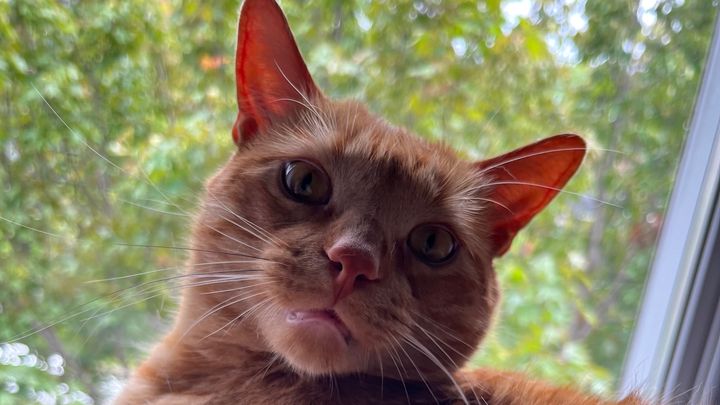 Fundraiser by Yannick Caron : opération naruto