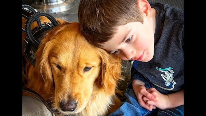 Fundraiser for Dawnielle Hilton by Marisa Dye : Help Our Sweet 7 Yr Old ...