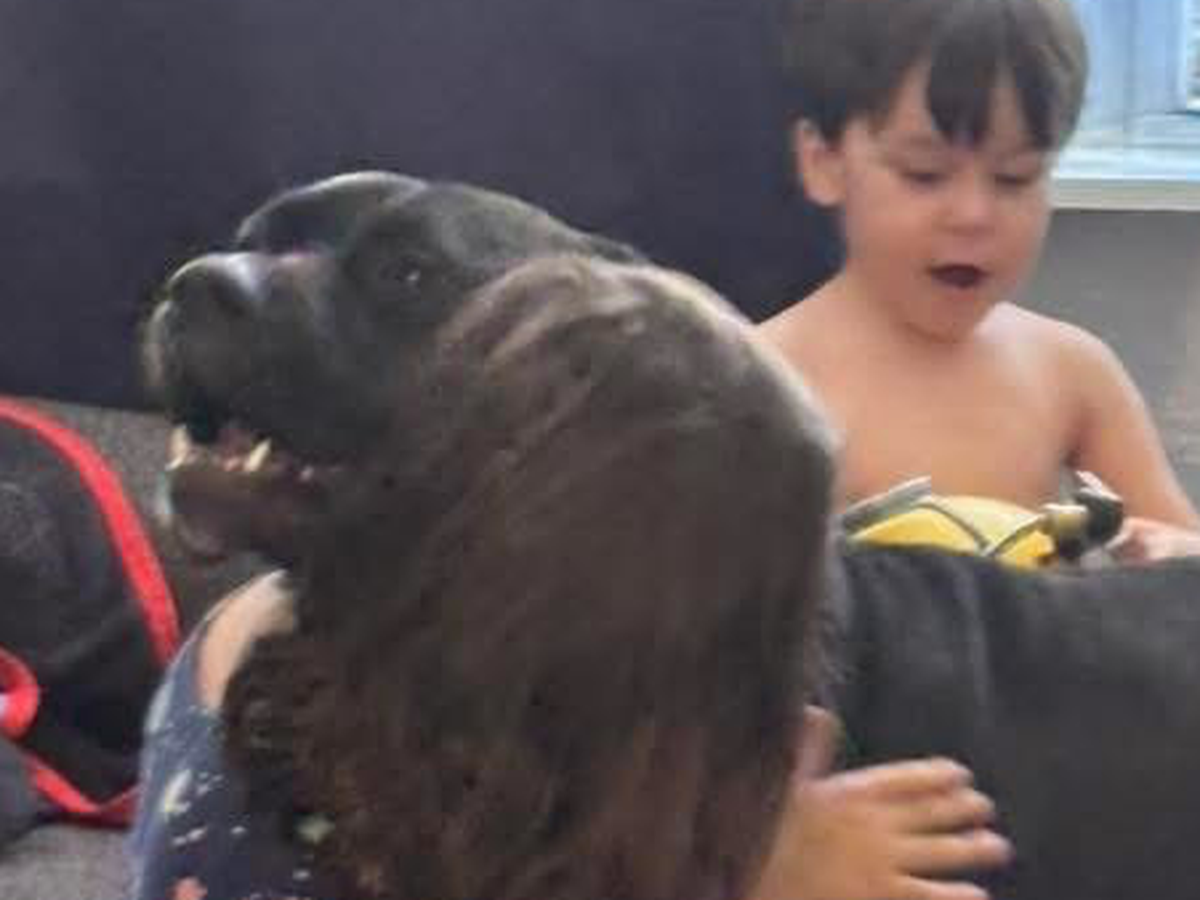 Fundraiser by Bella Hernandez : Help Us Reunite Our Daughter with Her ...