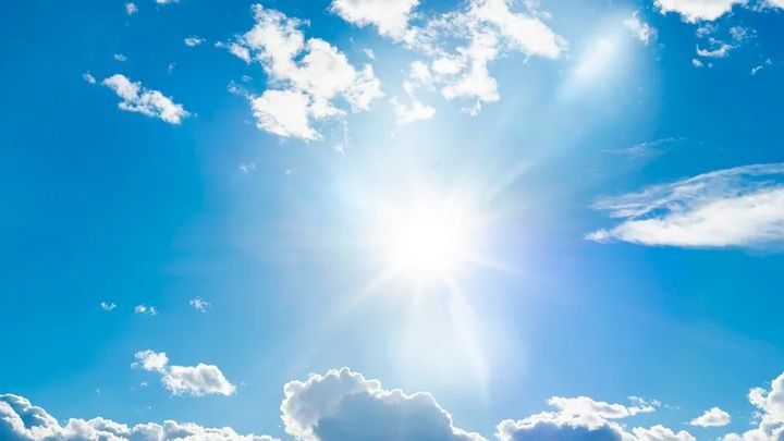 Fundraiser for Scott Persing by David Manthei : Help Hazel Get Back on ...