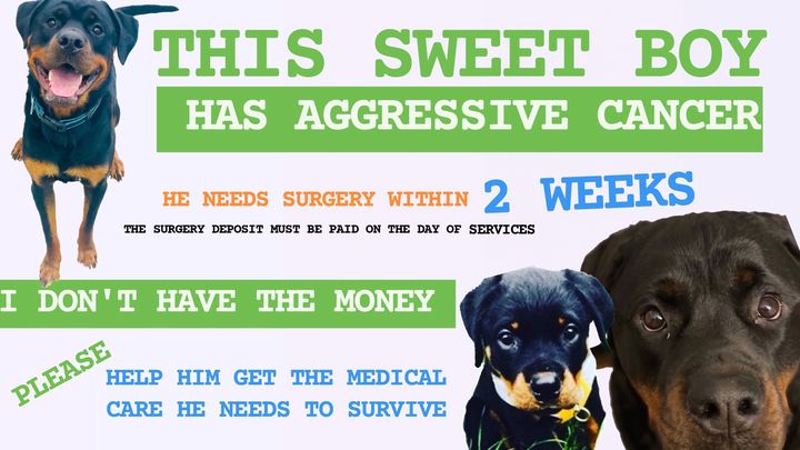Fundraiser by Amy Larru : He has 2 weeks to get surgery before it's too ...