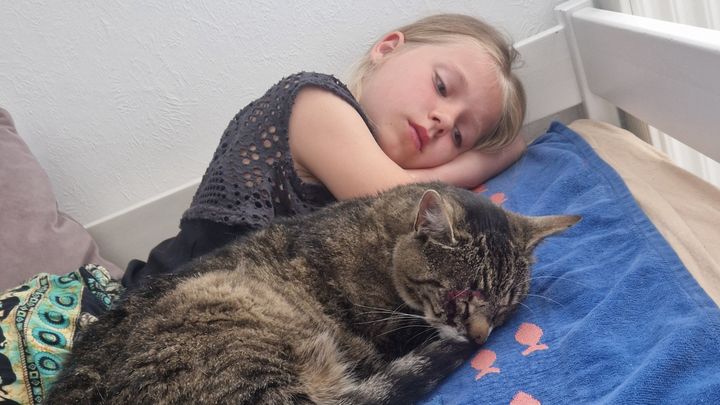Fundraiser by Julia Fritsch : Meine Katze Mimi