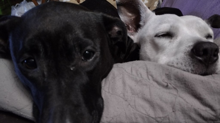 Fundraiser by Scott McCall : Support Scott and Sheila in Their Time of Need