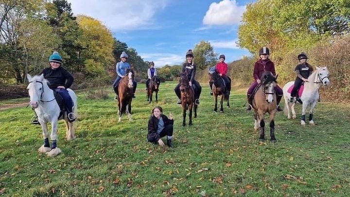 Fundraiser by Donna Sullivan : Help with Bedding At pony pals club