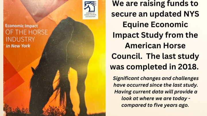 Fundraiser for Najja Thompson by Karin Bump : NYS Equine Economic ...