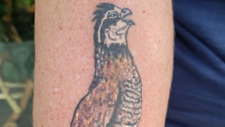 Fundraiser by James Rohling : Help Toast Get A New Tattoo Machine!
