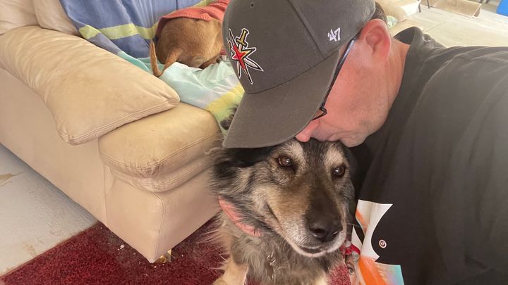 Fundraiser by Dean Madison-Gann : Help me to save my doggie Julie