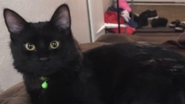 Fundraiser by Angela Cisneros : Trunks