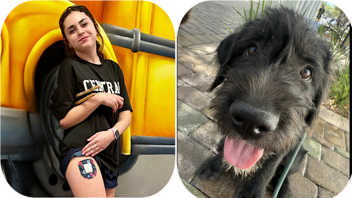 Fundraiser by Courtney Durrett : Raising for Ranger: A Lifesaving ...