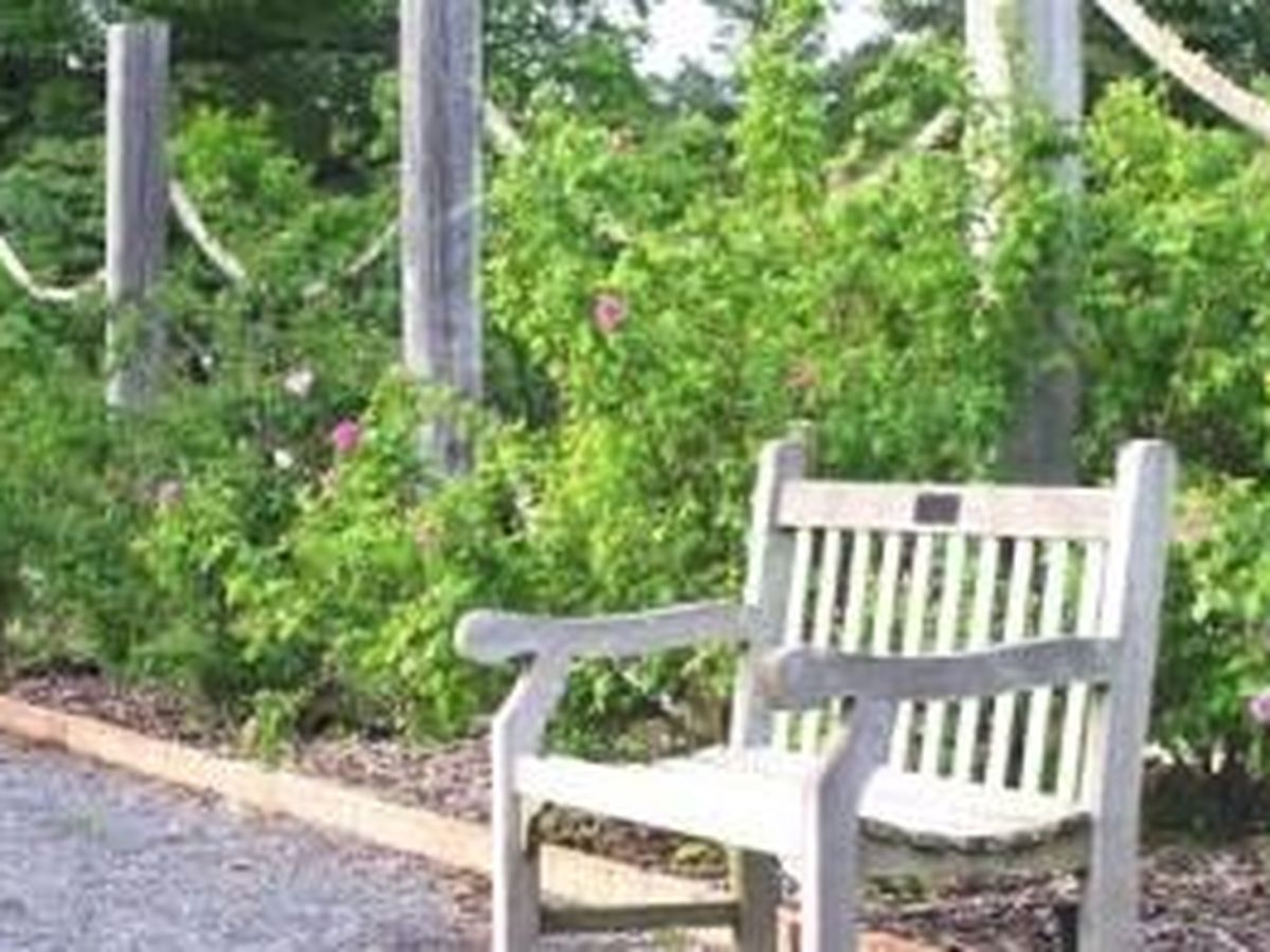 Fundraiser by Toni Irvine : Sharon Roy